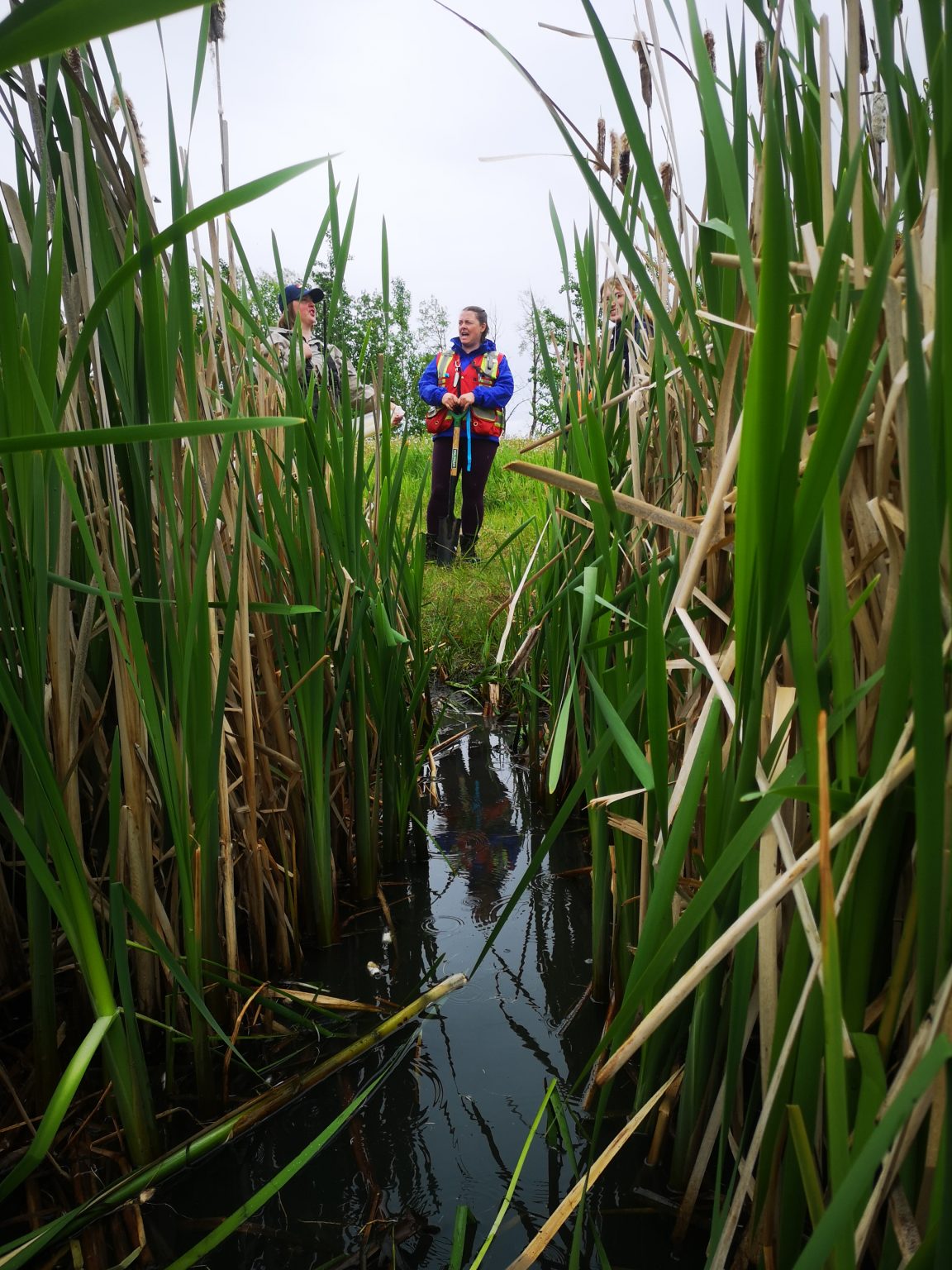 Floating Treatment Wetland – Mighty Peace Watershed Alliance